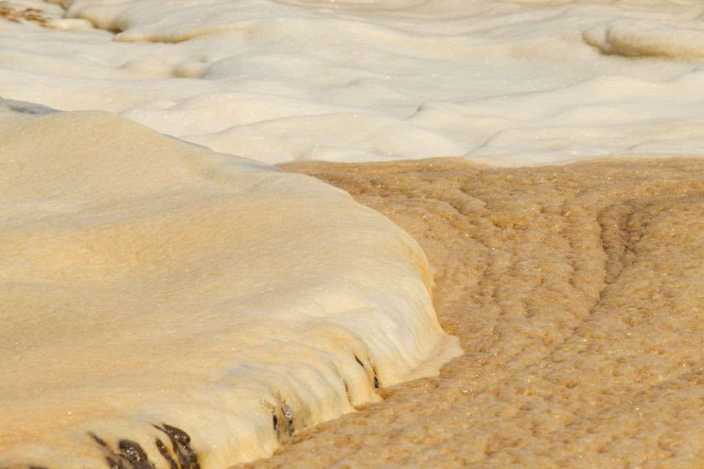 Fat, Oil and Grease (FOG) Control - 4G Environmental Corporation